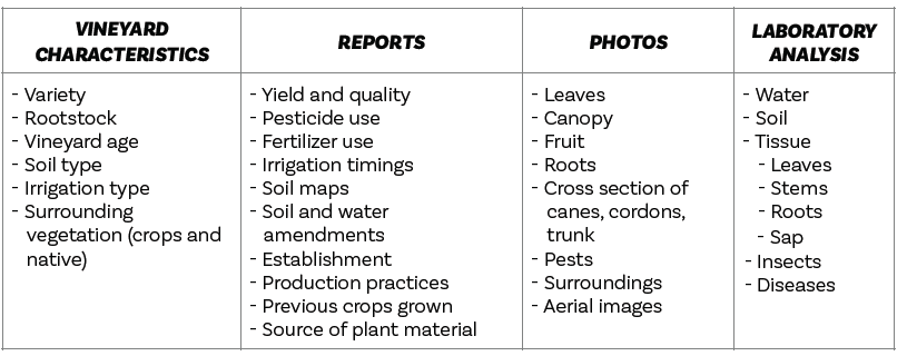 News | Grape and Wine Magazine | A magazine for the industry
