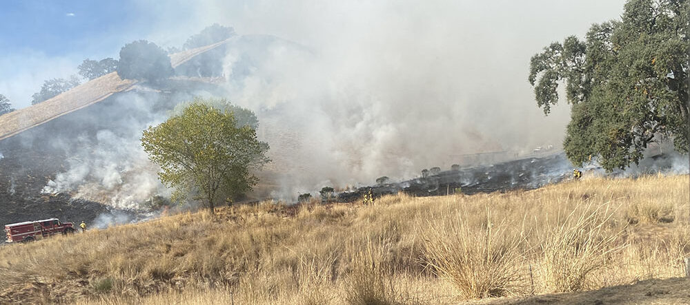 Smoke Risk to Vineyards from Prescribed Burns in California | Grape and ...