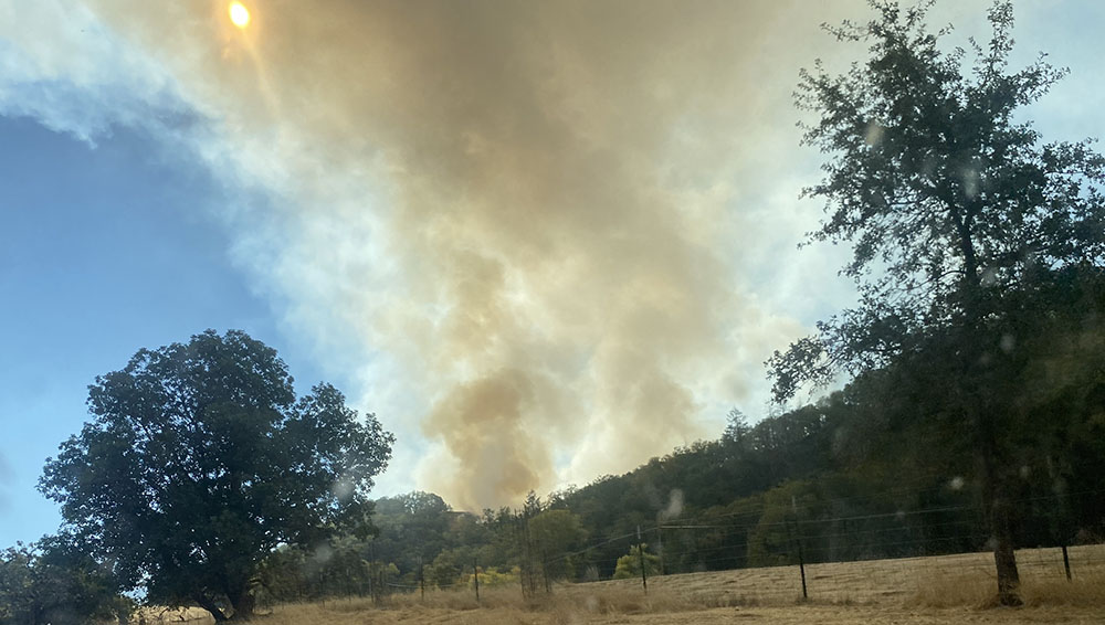 Smoke Risk to Vineyards from Prescribed Burns in California | Grape and ...